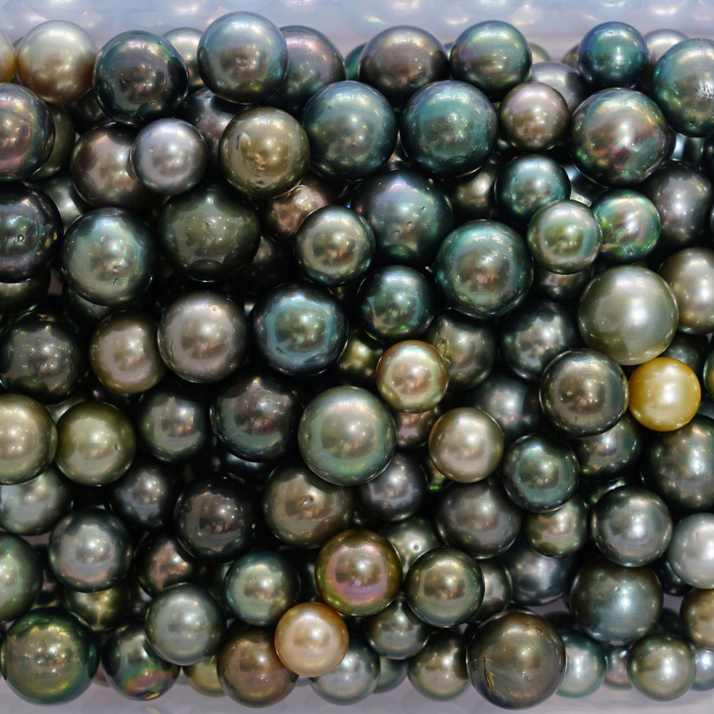 Perle grise, une rareté - France Perles