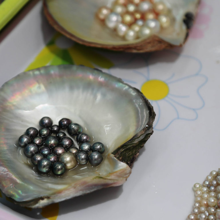 Perle blanche : pourquoi cette couleur ? - France Perles